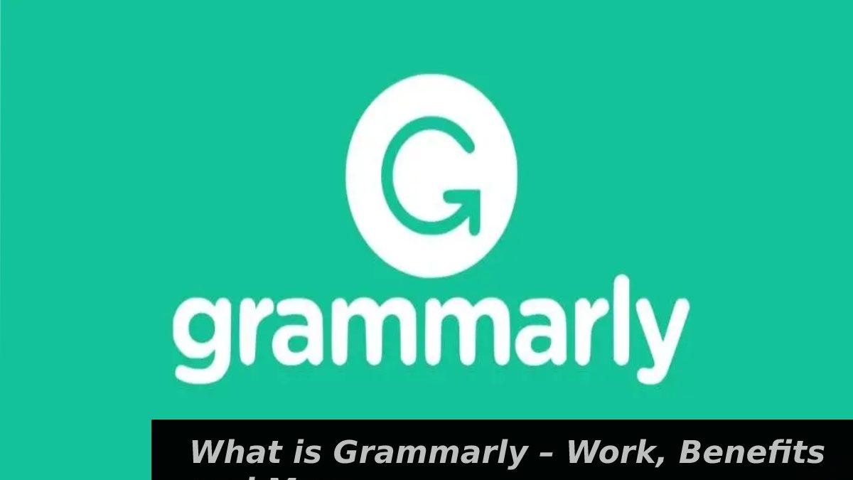 What is Grammarly – Work, Benefits and More - Marketing Marine