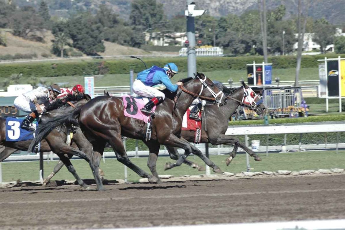 Pickwise is a free Android app from Spotlight Sports Group